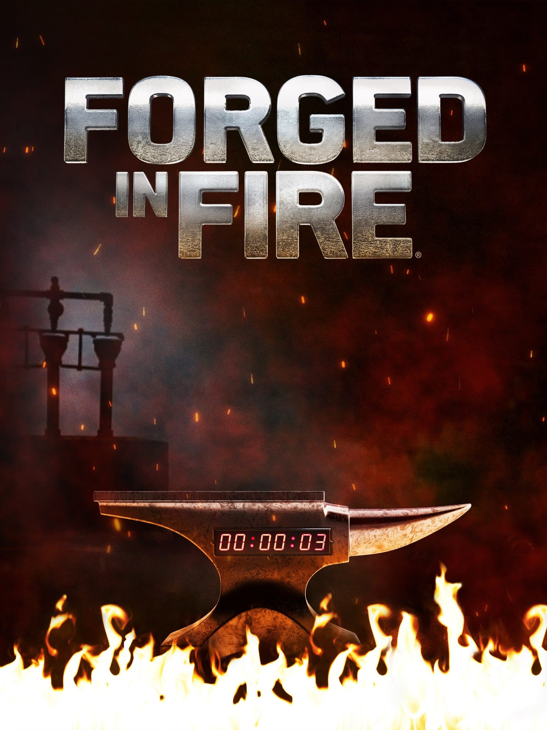 Facts You Didn't Know About 'Forged in Fire'