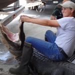 Why is Swamp People ending?