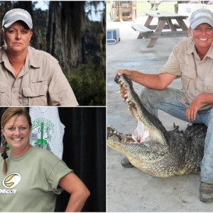 Why is Swamp People ending?