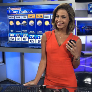 Cheryl Scott (ABC7 Chicago) Biography: Husband, Salary, Dog