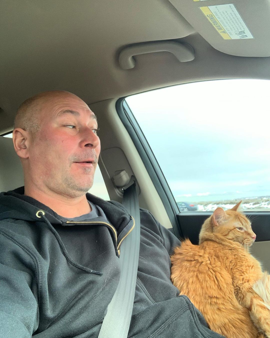 What happened to Sadie Calvano? Net Worth, Measurements, Bio