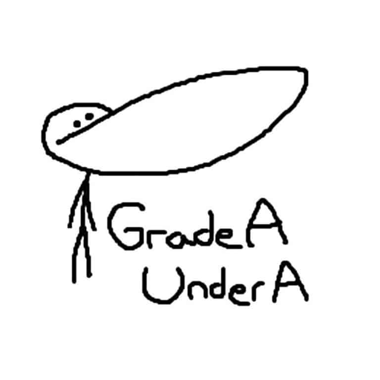 Who is GradeAUnderA? Real Name, Face, Age, Net Worth, Wiki
