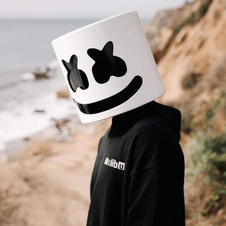 Details About Christopher Comstock (aka DJ Marshmello) Wiki