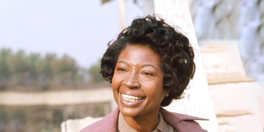 Where is Lynn Hamilton Now? Is She Dead or Alive? Net Worth, Bio