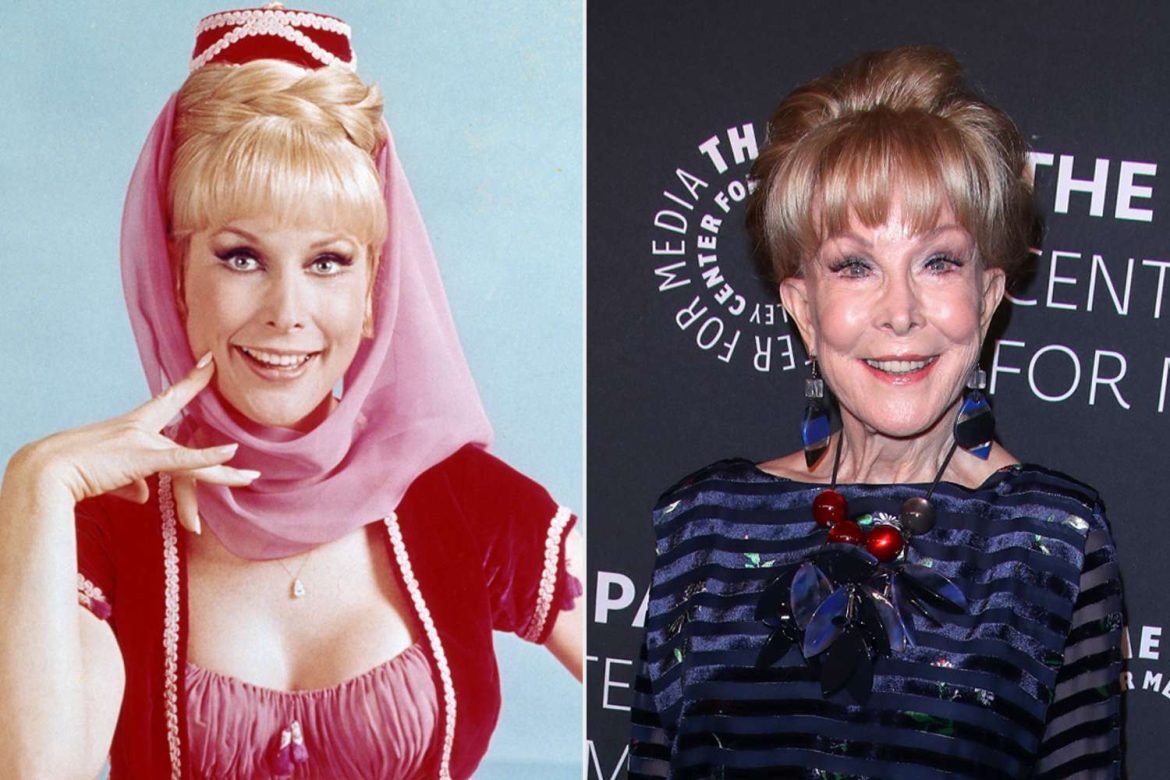 What is Barbara Eden doing now? Husband, Net Worth, Age, Wiki