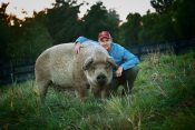 What happened to John Chester from “The Biggest Little Farm”?