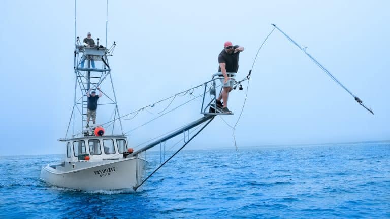 What happened on Harpoon Hunters?